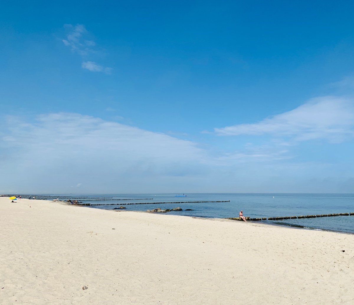 Early Bird. – Adventure Of My Lifetime